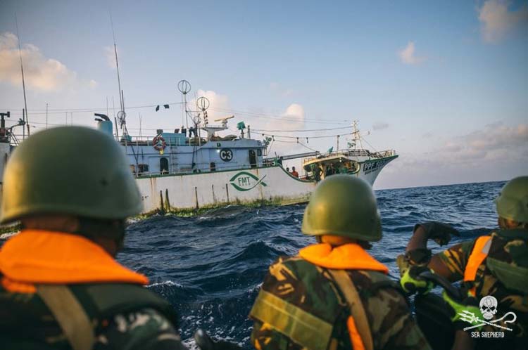 OPERATION JODARI - Sea Shepherd