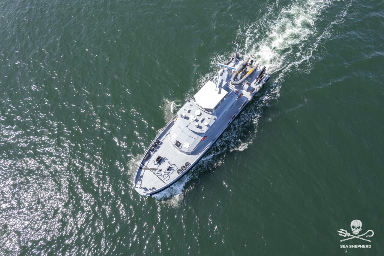 BALTIC SEA CAMPAIGN - Sea Shepherd