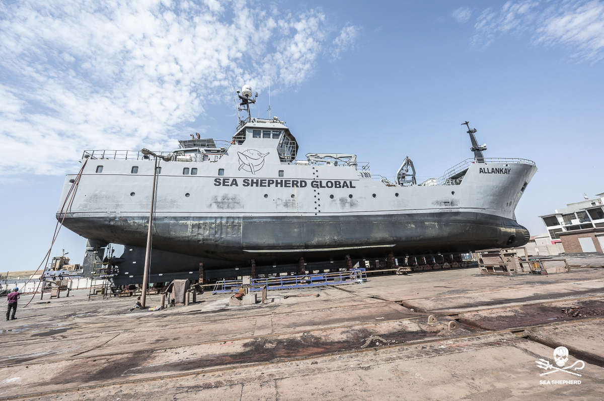 Wir stellen vor: Die ALLANKAY - Sea Shepherd