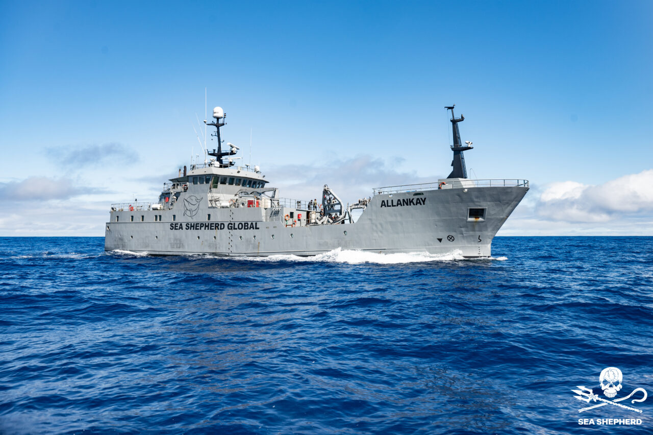 Wir stellen vor: Die ALLANKAY - Sea Shepherd