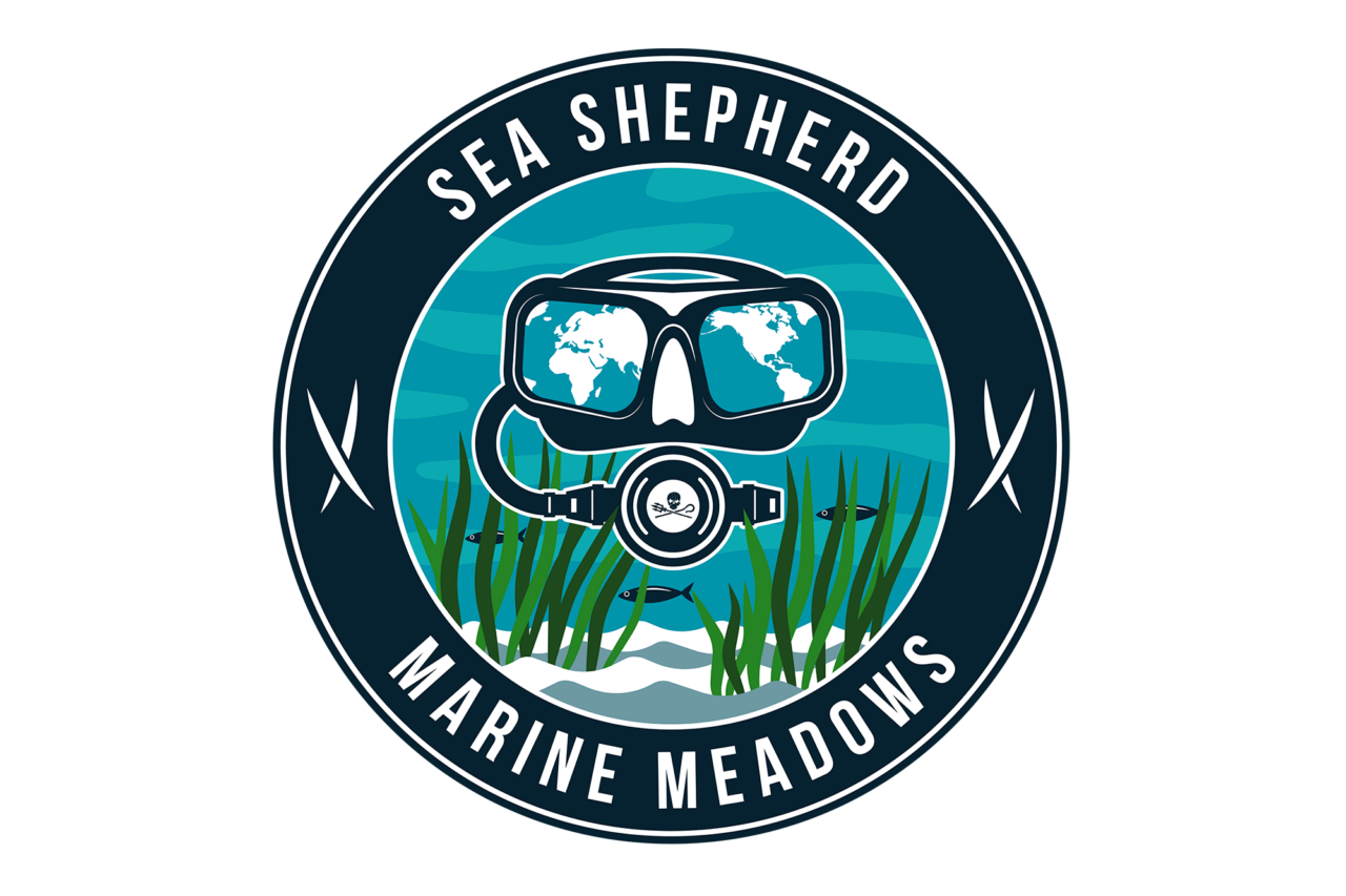 Neue Kampagne: Marine Meadows - Sea Shepherd