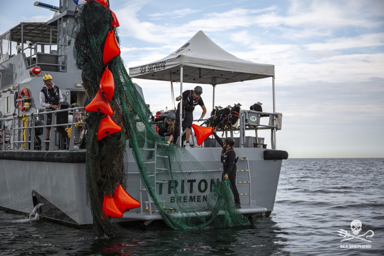 BALTIC SEA CAMPAIGN 2023 erfolgreich abgeschlossen - Sea Shepherd
